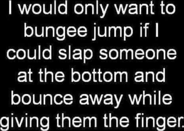 I would only want to bungee jump if I could slap someone at the bottom ...