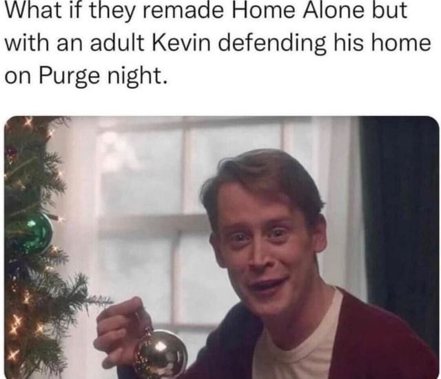 What If they remade Home Alone but with an adult Kevin defending his ...
