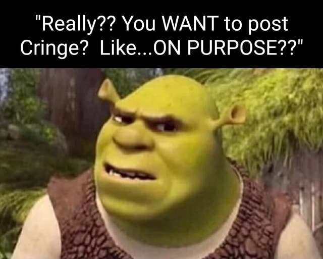 "Really?? You WANT to post Cringe? Like...ON PURPOSE??" - iFunny