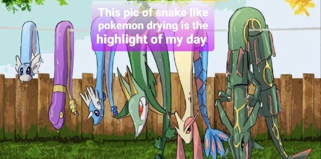 This pic of snake like pokemon drying is the highlight of my day - iFunny