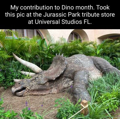 My contribution to Dino month. Took this pic at the Jurassic Park ...