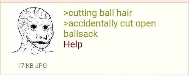 17 KB JPG >cutting ball hair >accidentally cut open ballsack Help - iFunny