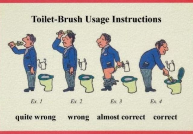 Toilet-Brush Usage Instructions quite wrong wrong almost correct ...