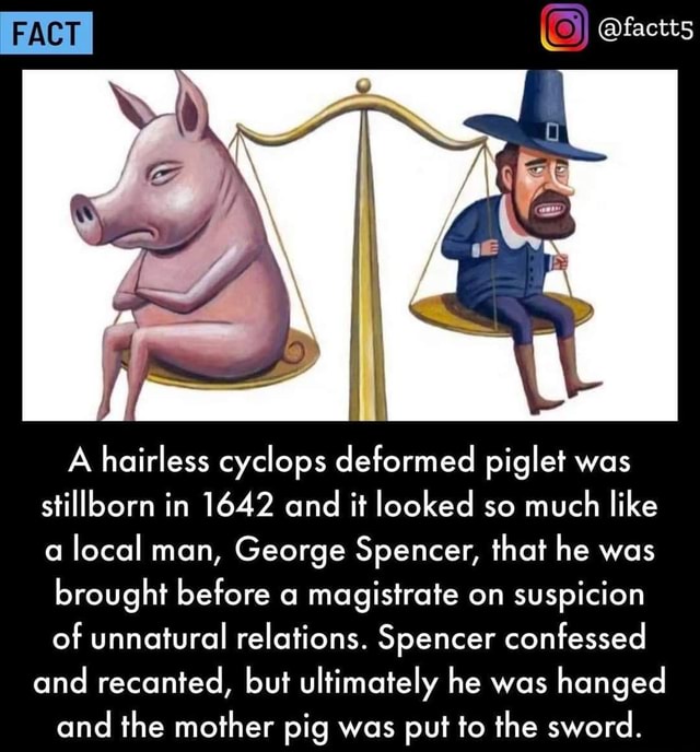 FACT @factts A hairless cyclops deformed piglet was stillborn in 1642 ...