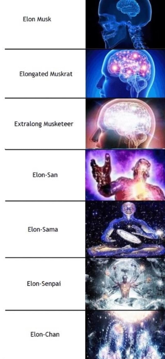 Elon Musk Elongated Muskrat - iFunny