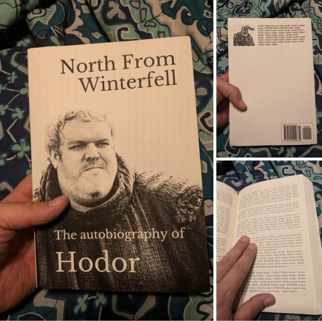 North From The autobiography of Hodor* - iFunny