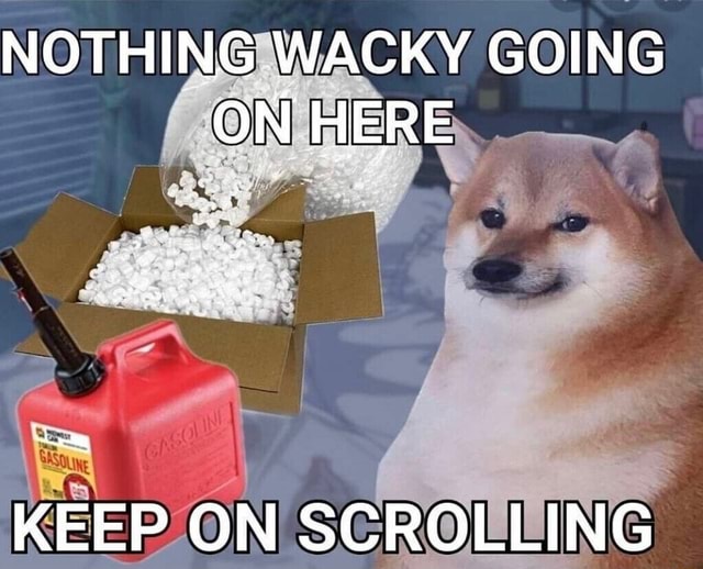 NOTHING WACKY GOING ON MERE KEEP ON SCROLLING - iFunny