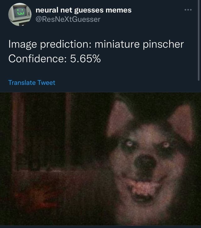 Neural net guesses memes @ResNexXtGuesser Image prediction: miniature ...