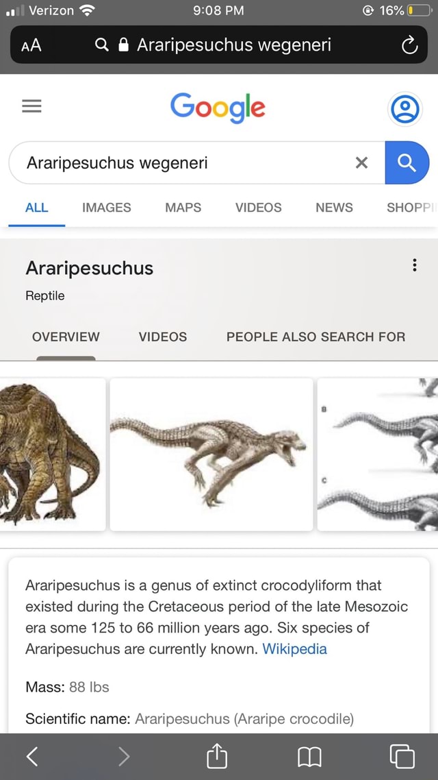 Araripesuchus 5 Araripesuchus is a genus of extinct crocodyliform that ...