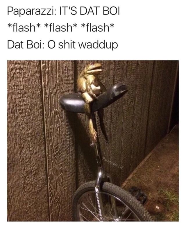 Paparazzi: IT'S DAT BO! *flash* *flash* *flash* Dat Boi: O shit waddup ...