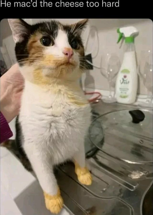 He macd the cheese too hard - iFunny