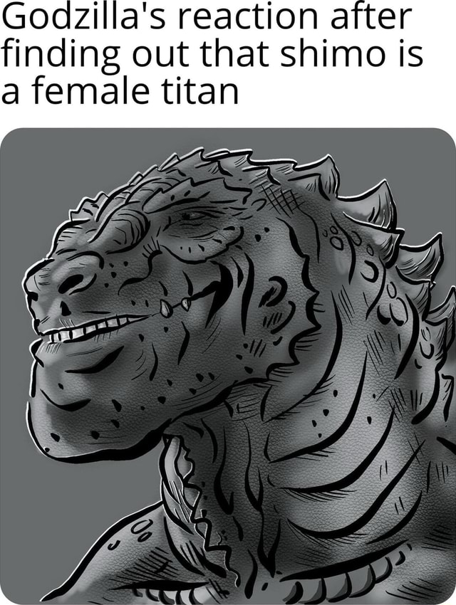 Godzilla's reaction after finding out that shimo is a female titan - iFunny