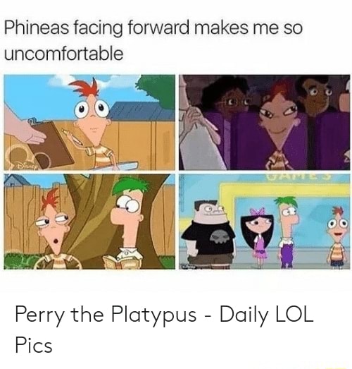 Phineas facing forward makes me so uncomfortable Perry the Platypus ...