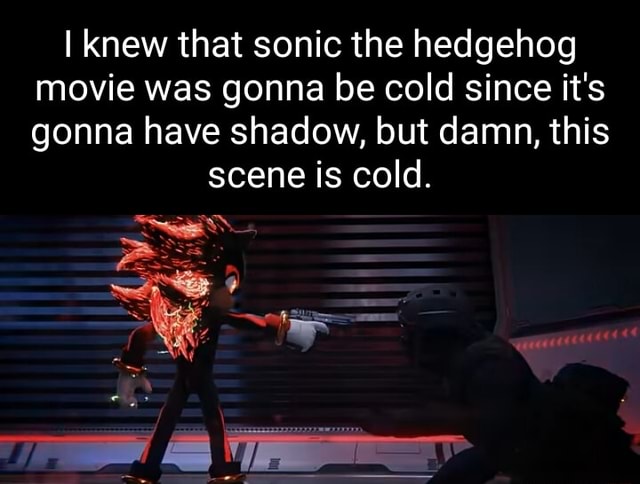 I knew that sonic the hedgehog movie was gonna be cold since it's gonna ...