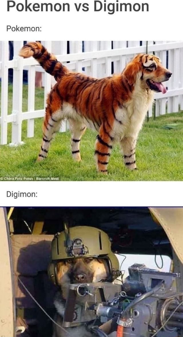 Pokemon vs Digimon Pokemon: China Foto Press Digimon: - )