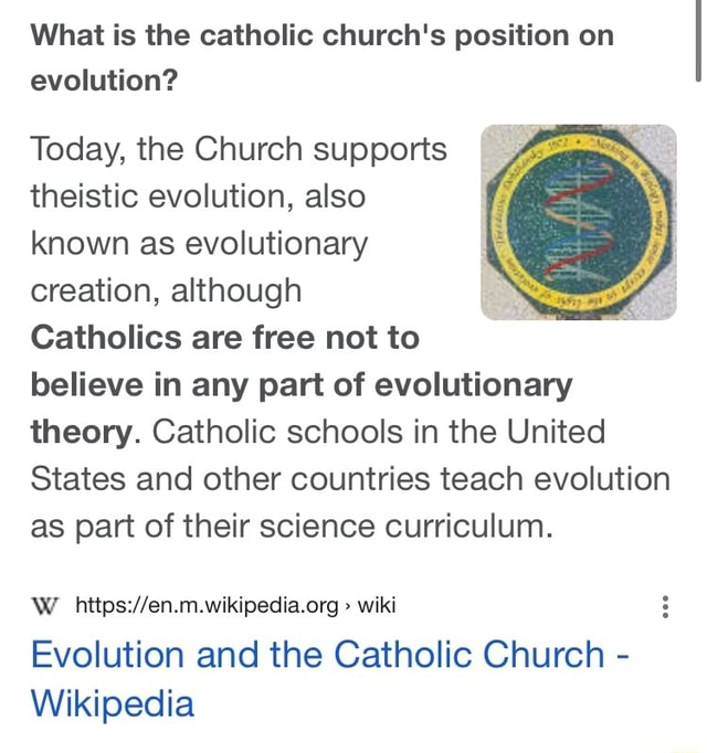What is the catholic church's position on evolution? Today, the Church ...