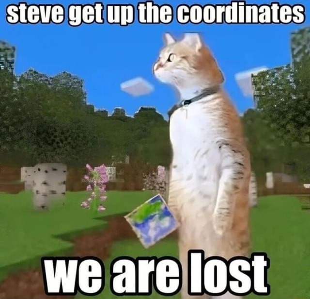 Steve get up the coordinates we are lost - iFunny