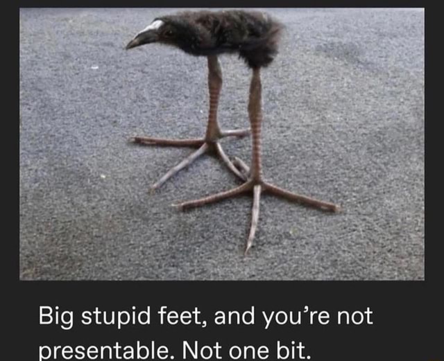 Big stupid feet, and you're not presentable. Not one bit. - iFunny