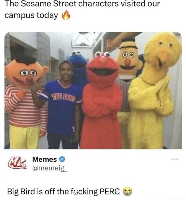 The Sesame Street characters visited our campus today Memes Big Bird is ...