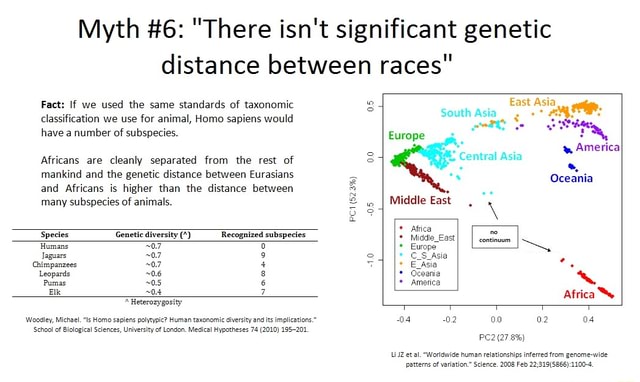 Myth #6: "There isn't significant genetic distance between races" ad ...