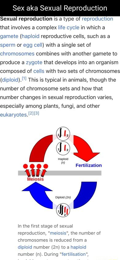 Sex aka Sexual Reproduction Sexual reproduction is a type of ...