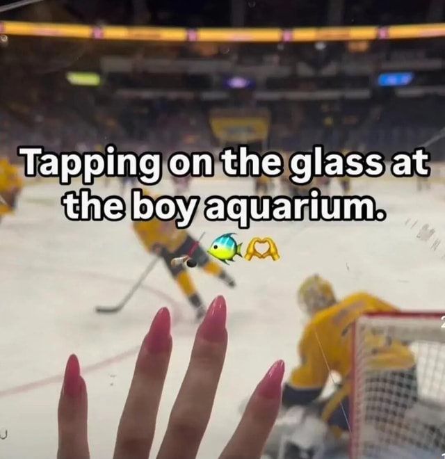 Tapping on the glass at the boy aquarium. ON - iFunny