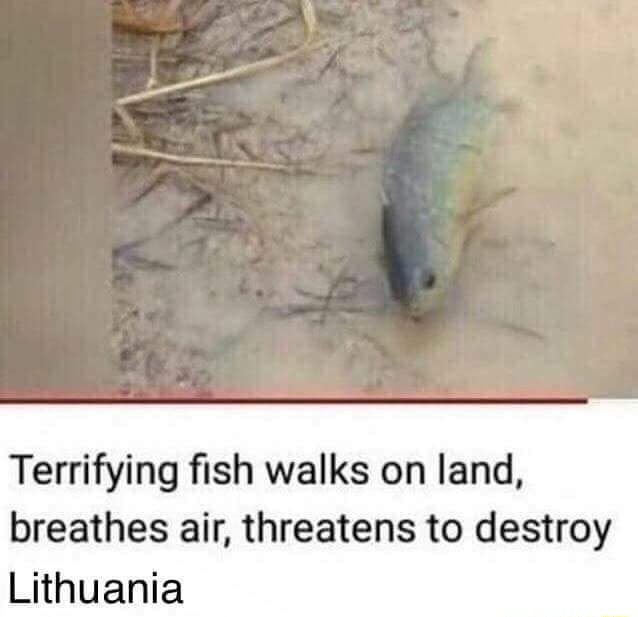 Terrifying fish walks on land, breathes air, threatens to destroy ...