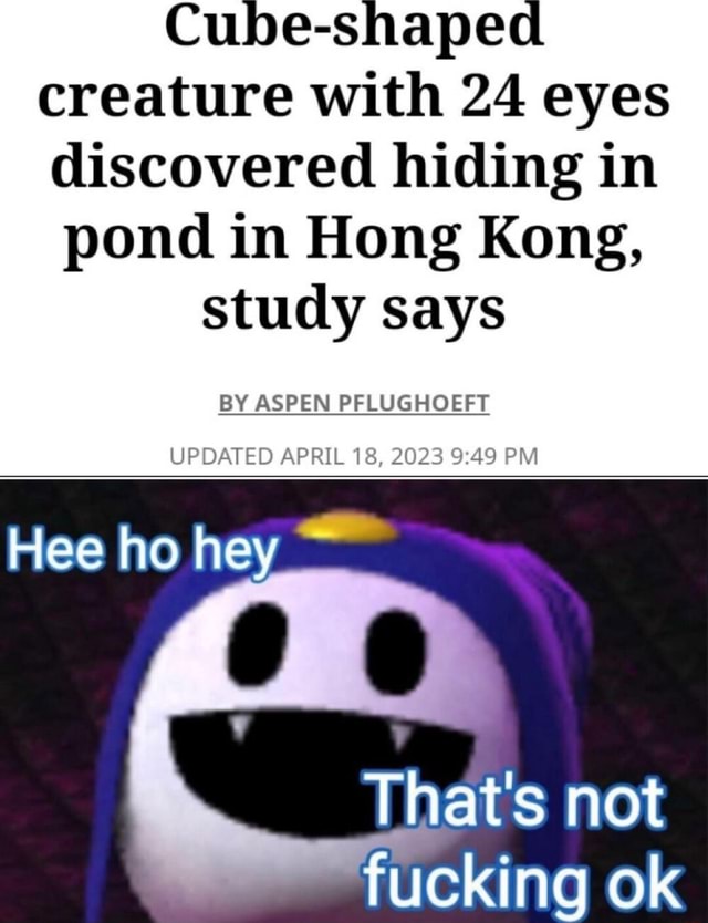 Cube-shaped creature with 24 eyes discovered hiding in pond in Hong ...
