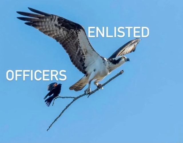 ENLISTED OFFICERS - iFunny