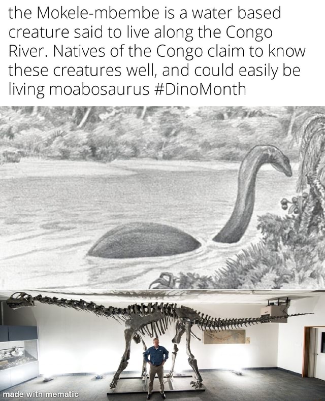The Mokele-mbembe is a water based creature Said to live along the ...