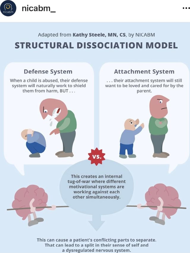 Nicabm_ Adapted from Kathy Steele, MN, CS, by NICABM STRUCTURAL ...