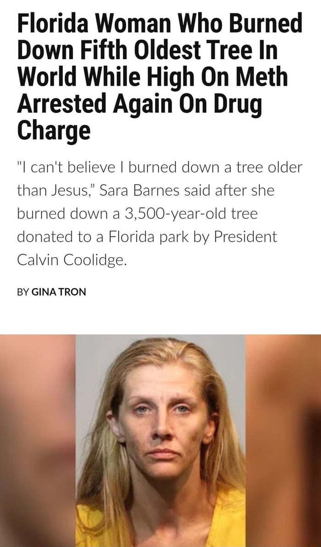 Florida Woman Who Burned Down Fifth Oldest Tree In World While High On ...