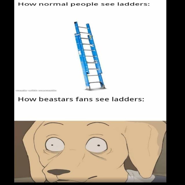 How normal people see ladders: How beastars fans see ladders: - iFunny