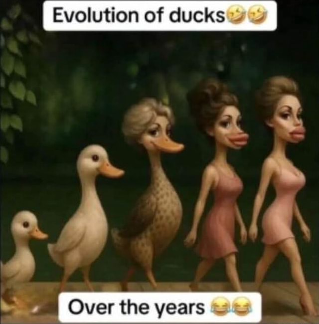 Evolution of ducks Over the years - iFunny