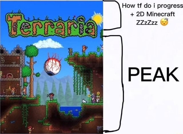 How tf do i progress + Minecraft PEAK - iFunny
