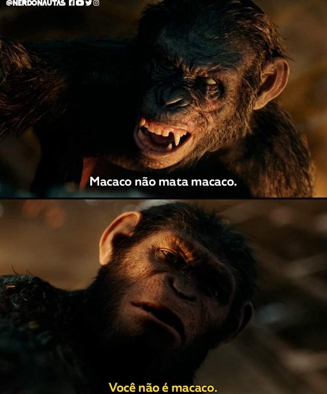 GNERDONAUTAS Macaco não mata macaco. Você não é macaco. - seo.title