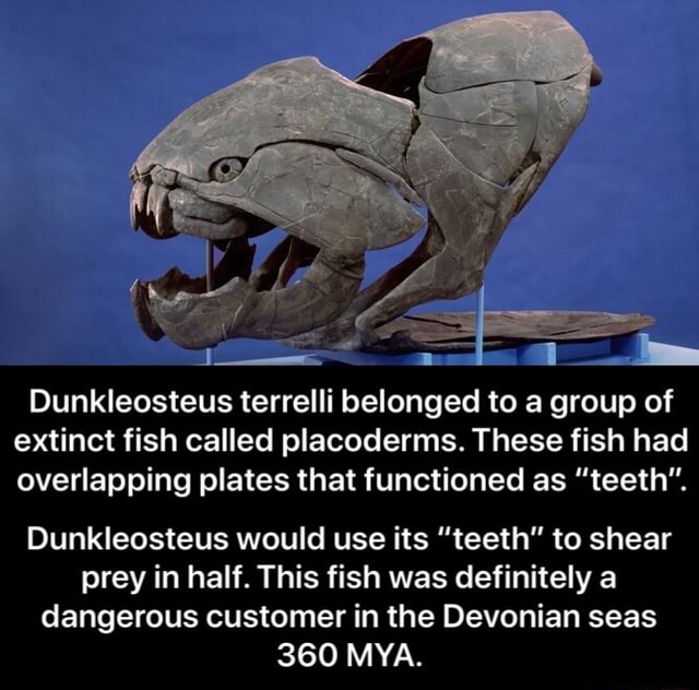 Dunkleosteus terrelli belonged to a group of extinct fish called ...