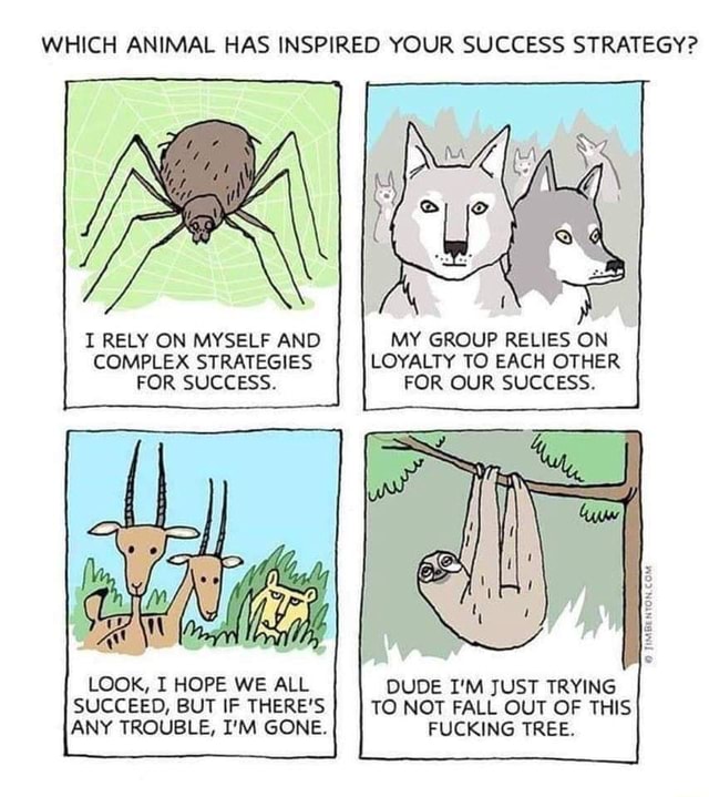 WHICH ANIMAL HAS INSPIRED YOUR SUCCESS STRATEGY? I RELY ON MYSELF AND ...