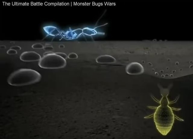 The Ultimate Battle Compilation I Monster Bugs Wars - America’s best ...