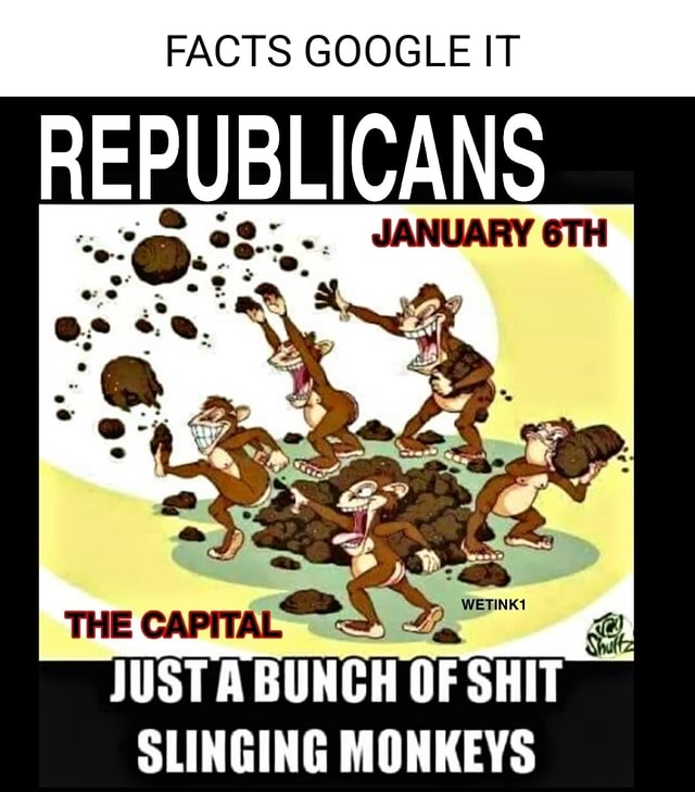FACTS GOOGLE IT REPUBLICANS JUST A BUNCH OF SHIT SLINGING MONKEYS ...