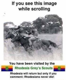 If you see this image while scrolling You have been visited by the ...