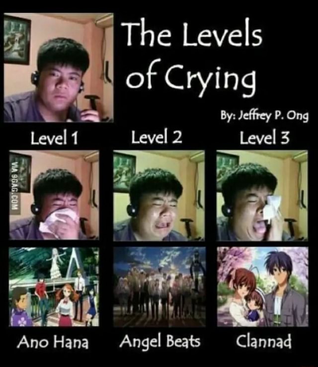 The Levels of Crying By: Jeffrey P. Ong Level 3 Level 2 AnoHana Angel ...