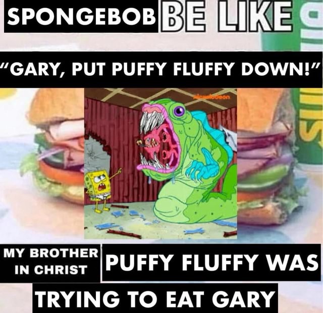 SPONGEBOBBE LIKE "GARY, PUT PUFFY FLUFFY DOWN!" MY BROTHER PUFFY FLUFFY ...