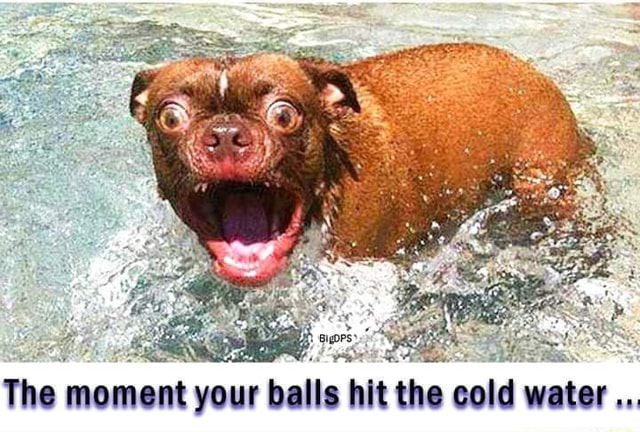 The moment your balls hit the cold water - iFunny