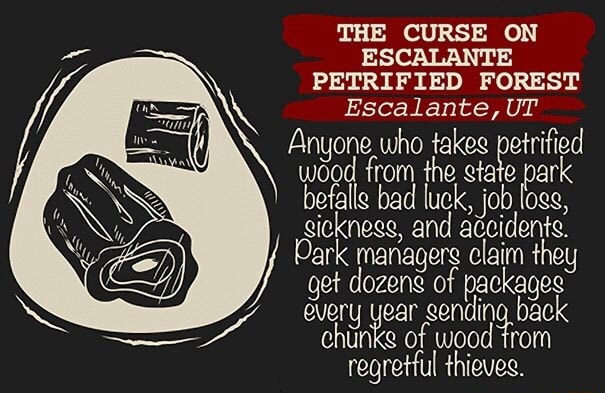 THE CURSE ON ESCALANTE PETRIFIED FOREST Escalante, UT Angone whofakeg ...