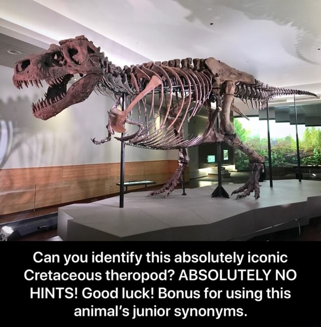 Can you identify this absolutely iconic Cretaceous theropod? ABSOLUTELY ...