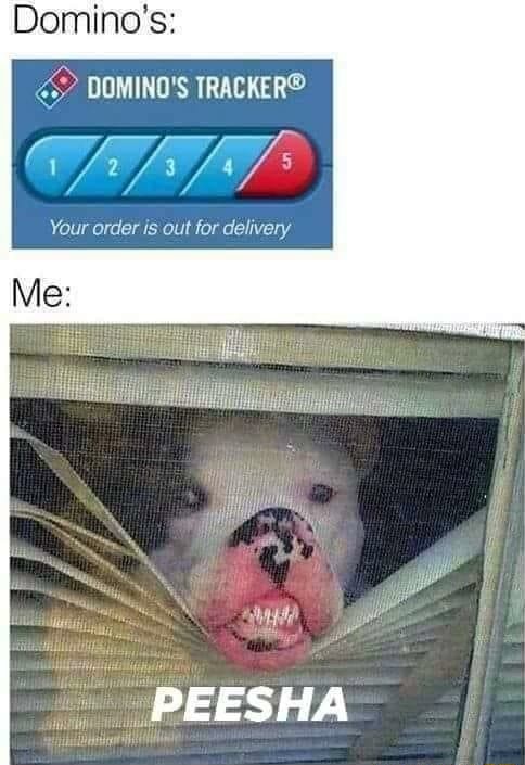 Domino's: DOMINO'S Your order is out for delivery PEESHA - iFunny