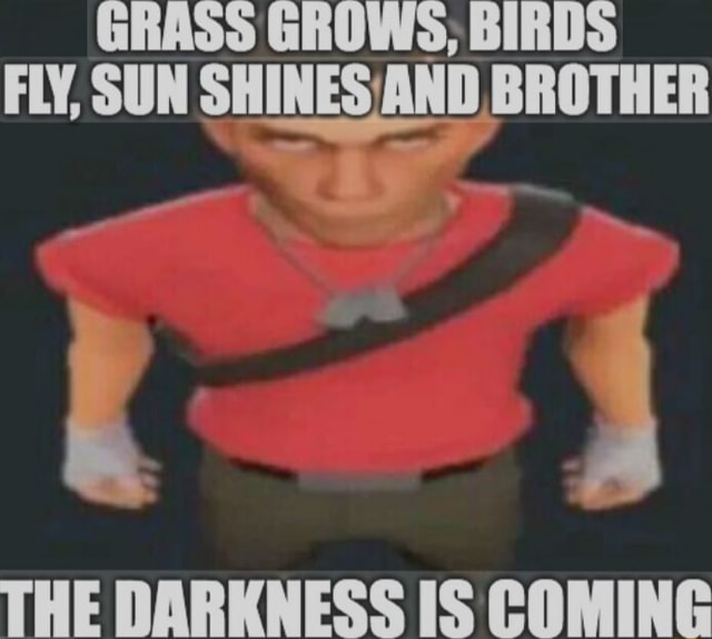 GRASS GROWS; BIRDS FLY, SUN SHINES AND BROTHER THE DARKNESS IS COMING - iFunny