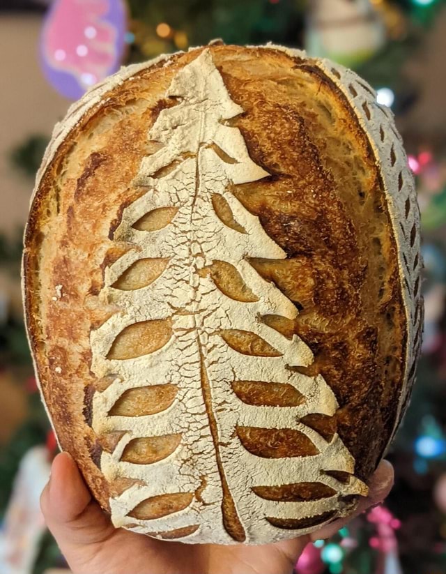 Super crusty and wonderful. - iFunny