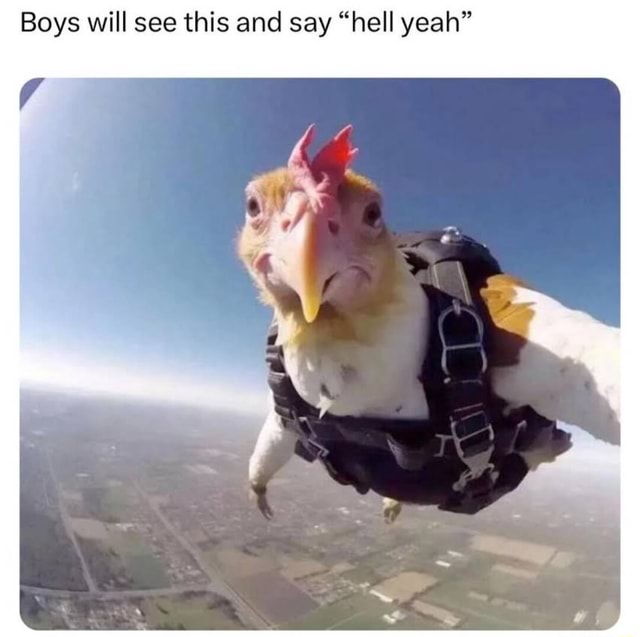 Boys will see this and say "hell yeah" - iFunny